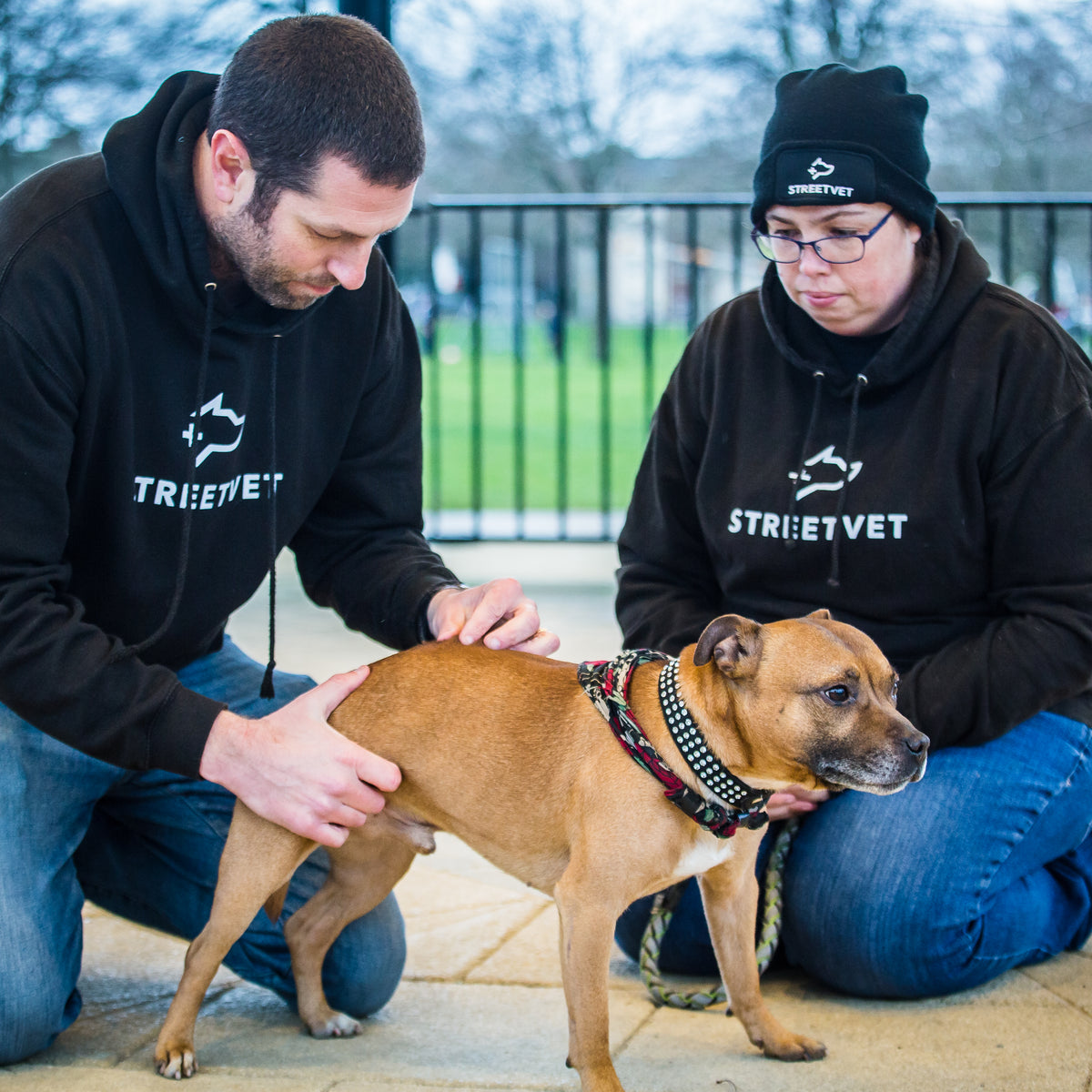 StreetVet Pet Charity | Barking Bags | Blog | Read more